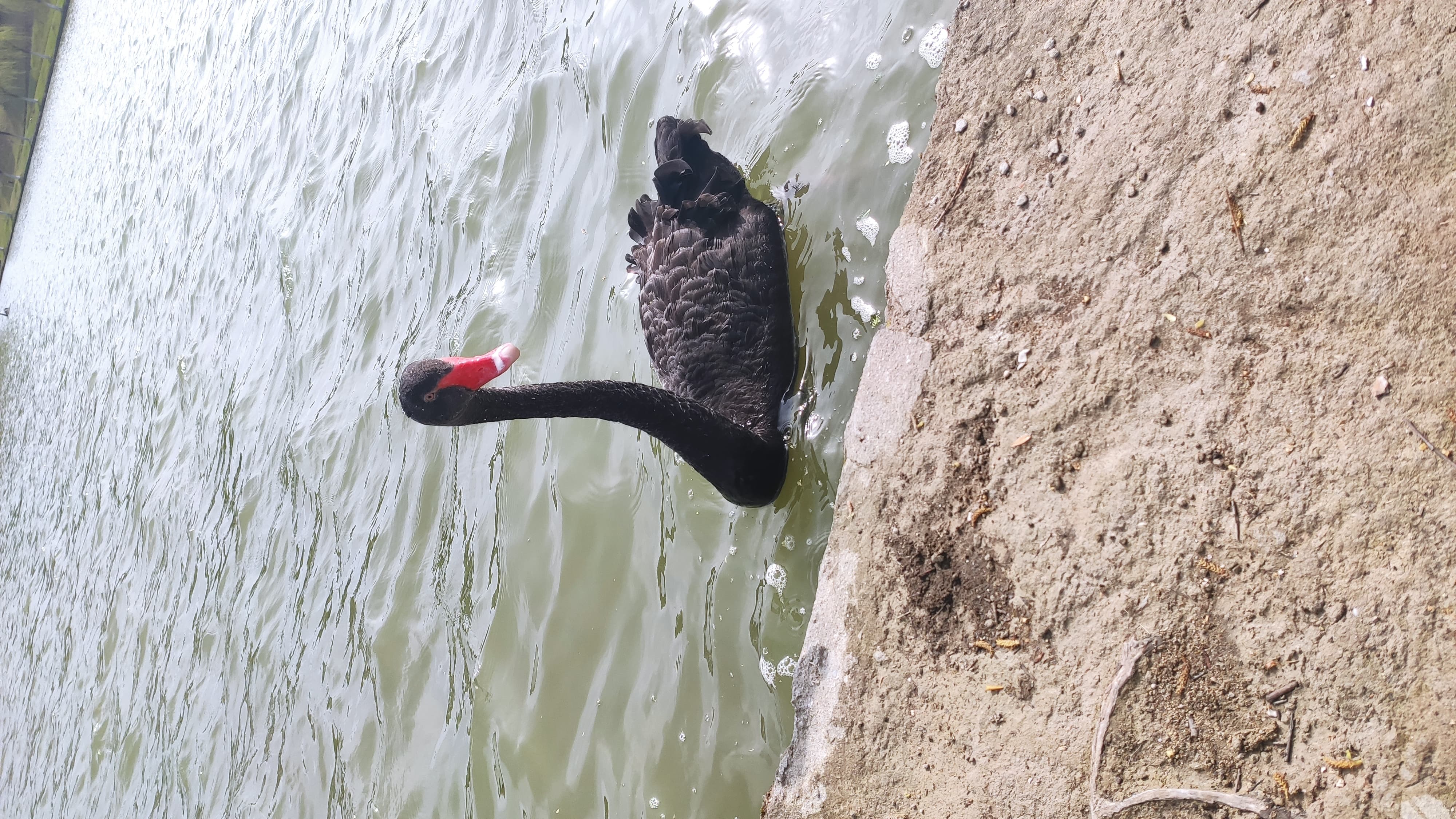 2022年3月24日实验室团建 | S2AC