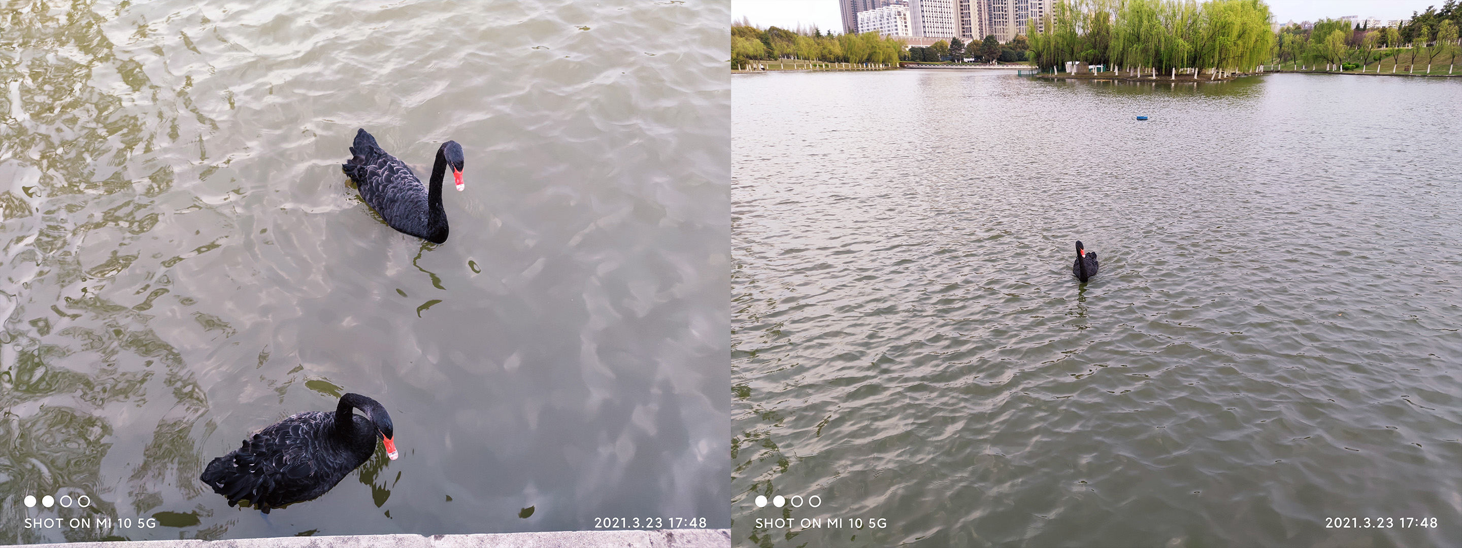 Prof.Yu Gu(谷雨) | S2AC