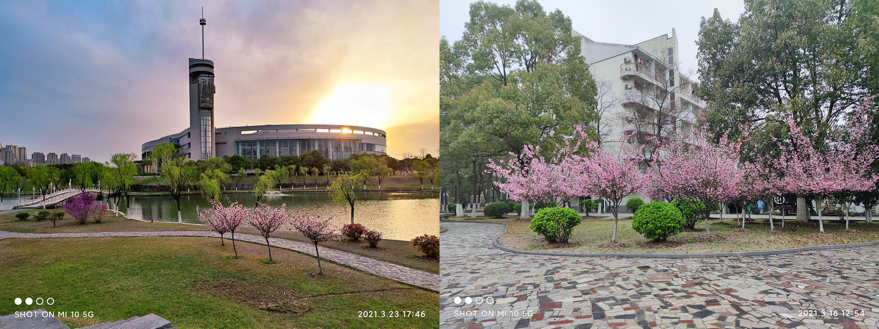 Prof.Yu Gu(谷雨) | S2AC